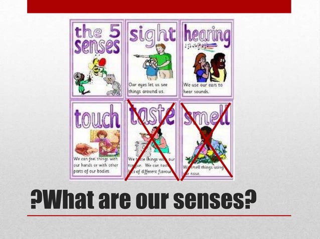 Training in audio visual techniques and powerpoint class 2 | PPT