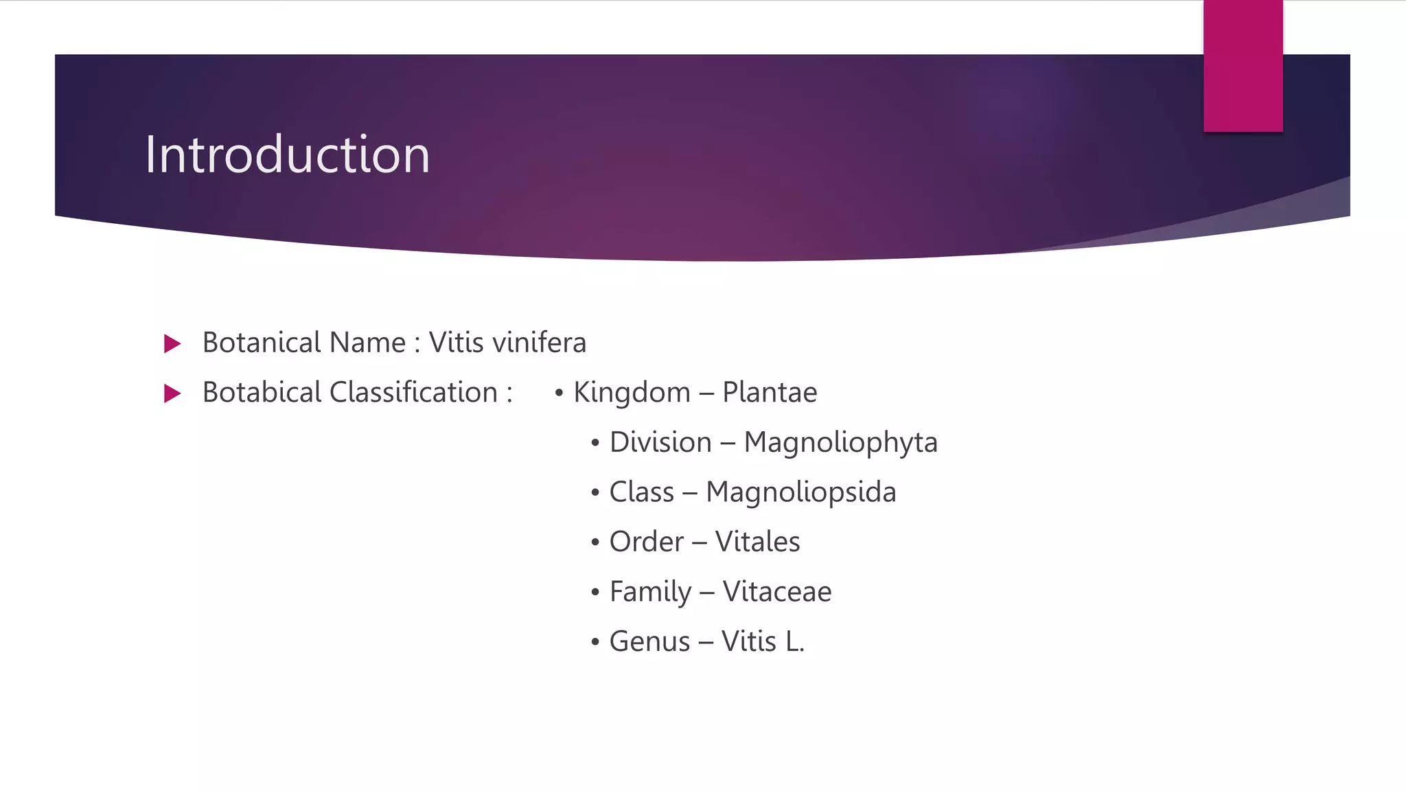 Training in Grapes.pptx