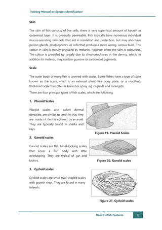 Training manual on species identification 2017 vivekanand bharti_basic ...