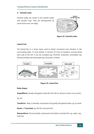 Training manual on species identification 2017 vivekanand bharti_basic ...