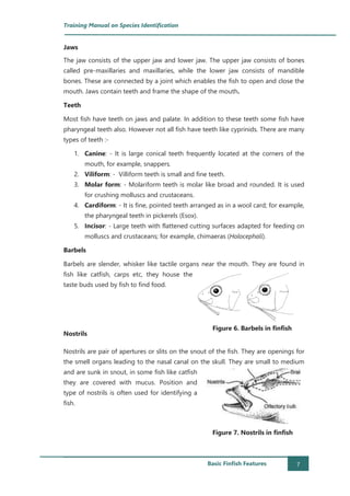 Training manual on species identification 2017 vivekanand bharti_basic ...