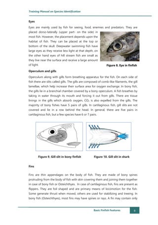 Training manual on species identification 2017 vivekanand bharti_basic ...