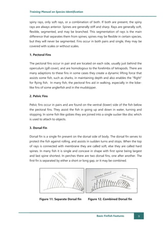 Training manual on species identification 2017 vivekanand bharti_basic ...
