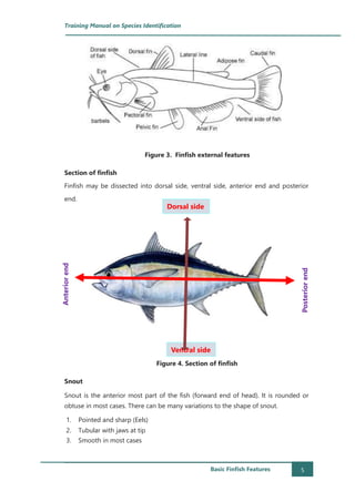 Training manual on species identification 2017 vivekanand bharti_basic ...