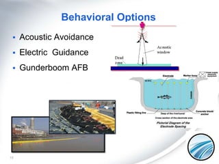 Intake Structures & Equipment Training Module | PPTX