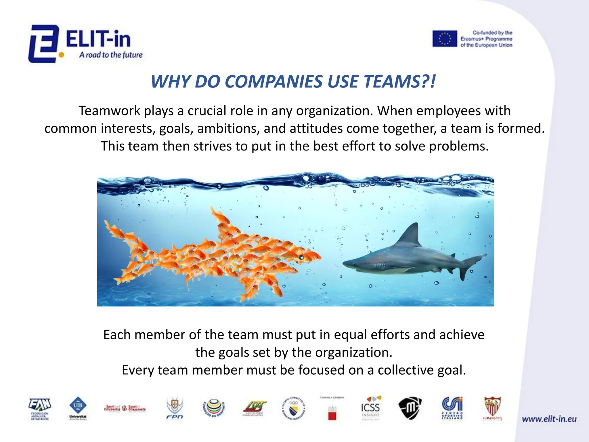 Training module - Teamwor for teambuilding of employees.pdf