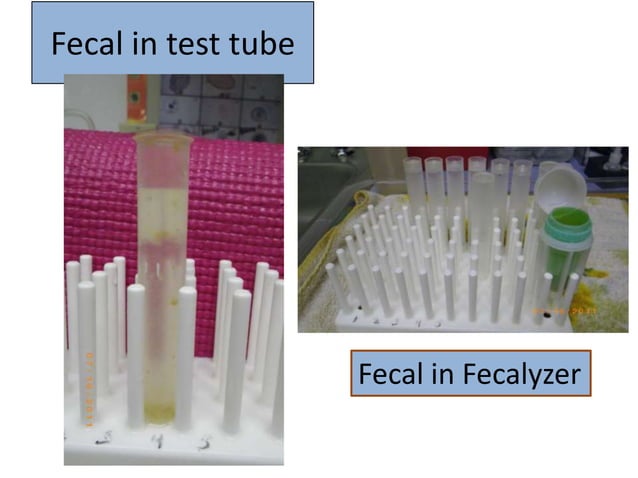 Training module 1- Fecal Testing | PPT