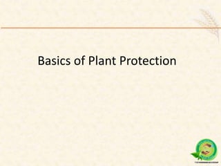 Basics of plant protection | PPTX