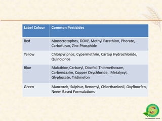 Basics of plant protection | PPTX