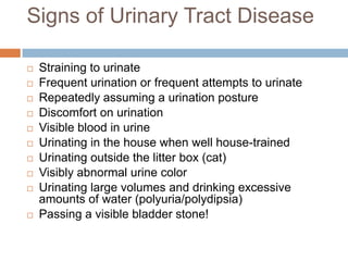 Training module III - Urinalysis | PPTX
