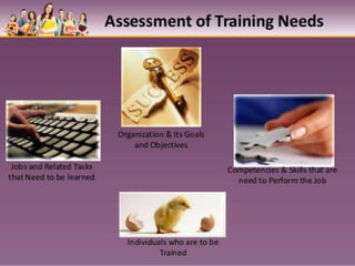 Training nd development ppt | PPT