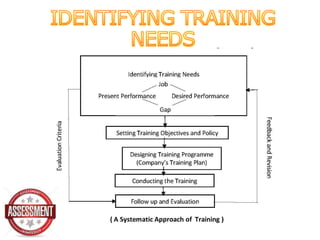 Training Need Identification_A seminar | PPTX