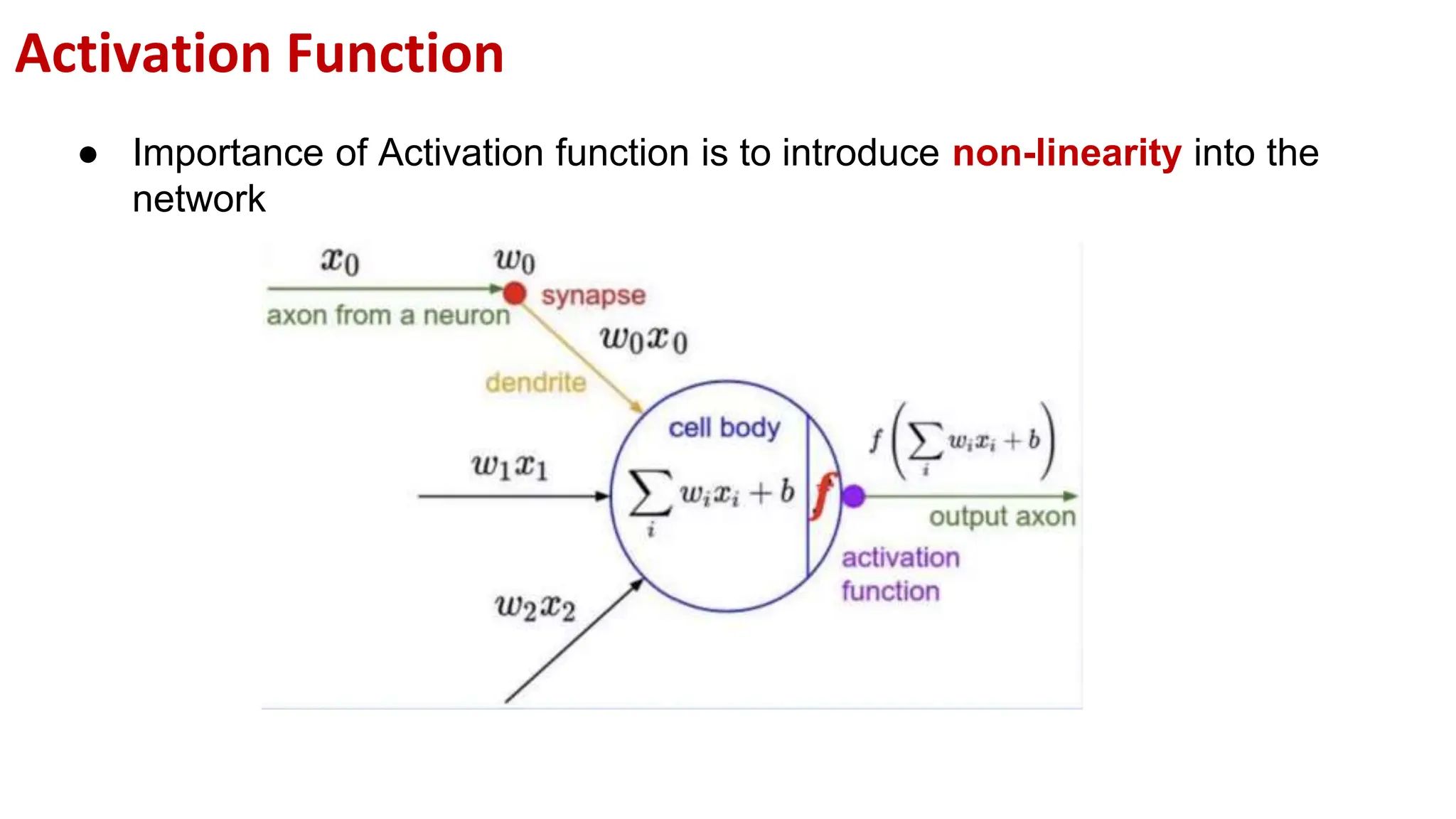 Training Neural Networks.pptx