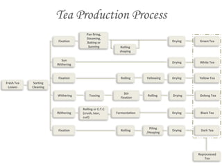Everything you need to know about TEA! | PPTX