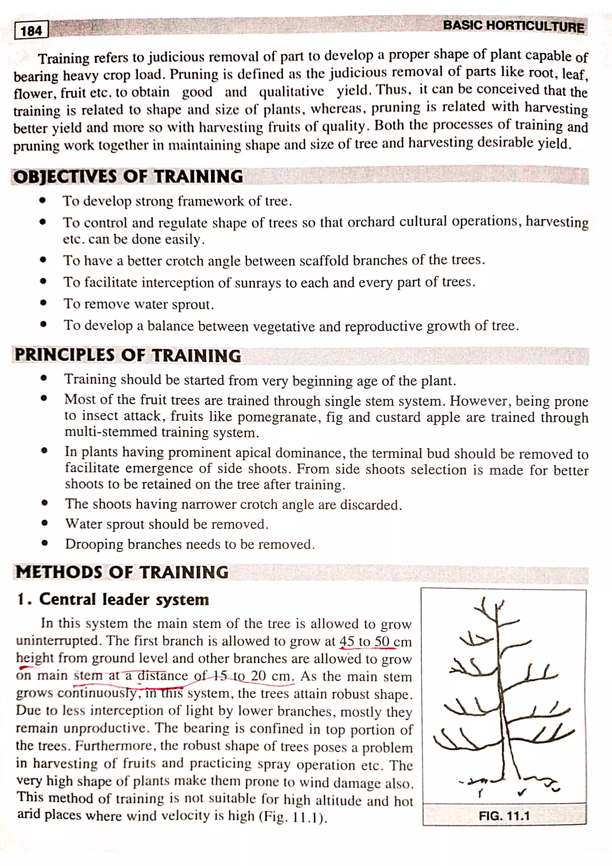 Training and pruning | PDF