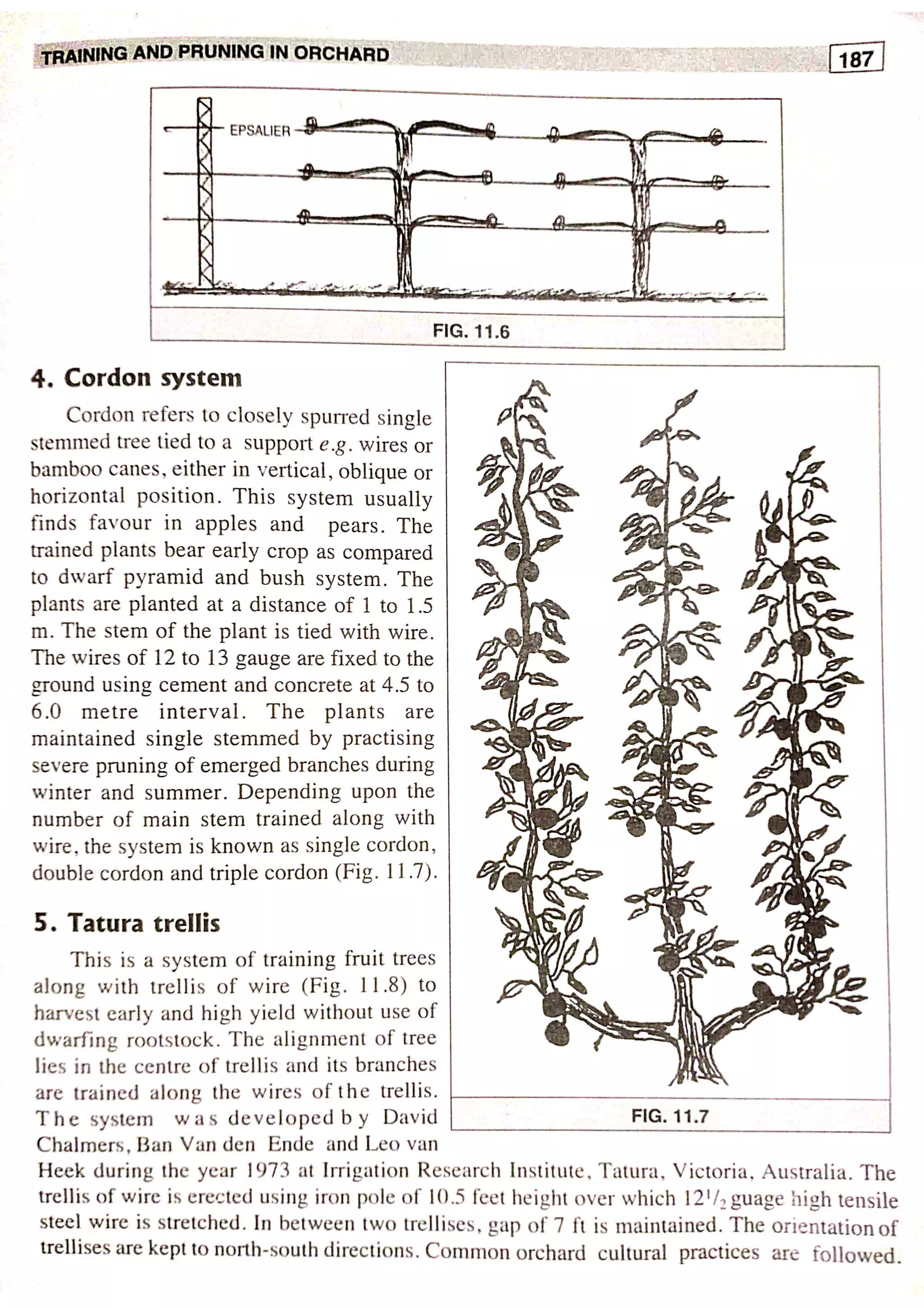 Training and pruning | PDF