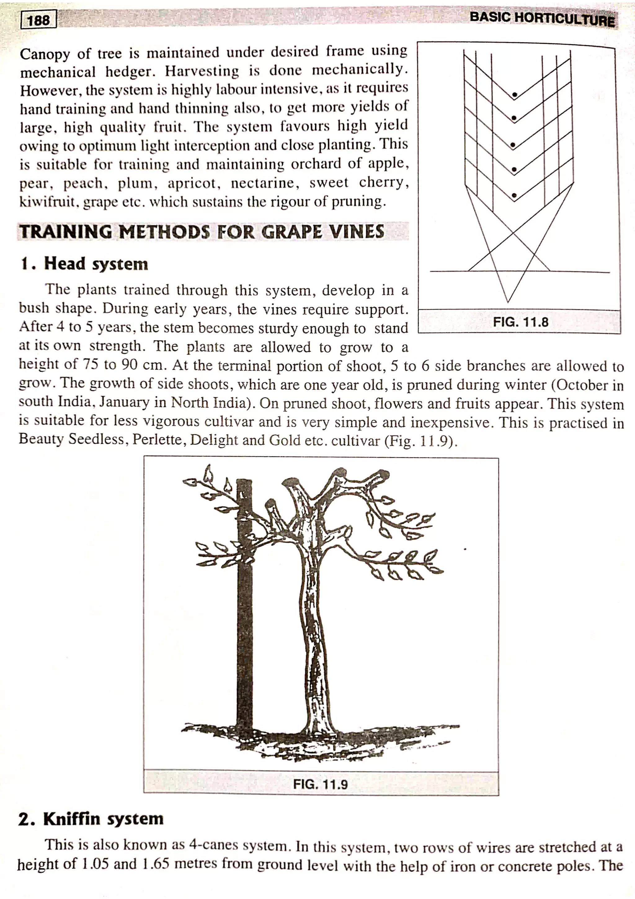 Training and pruning | PDF