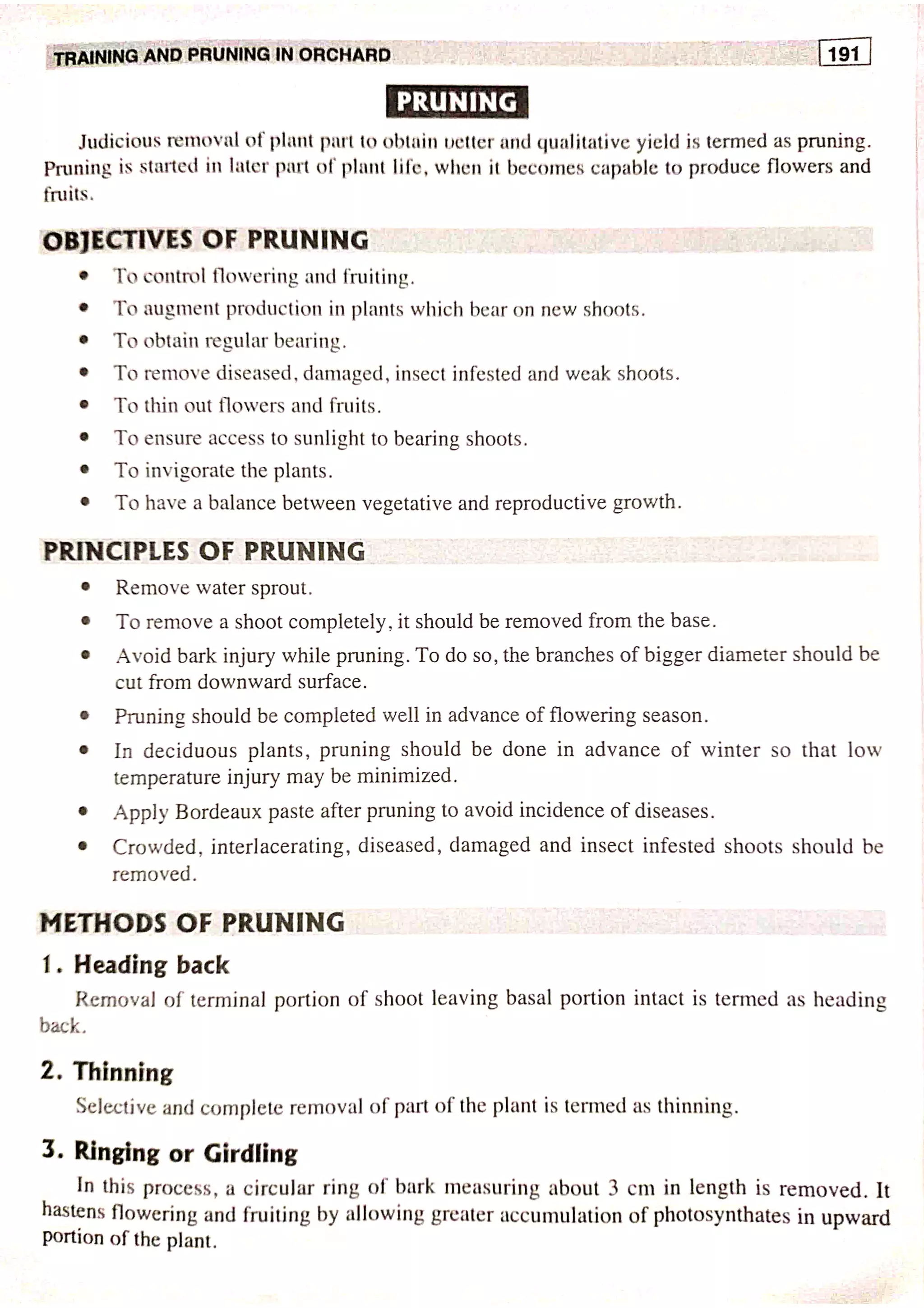 Training and pruning | PDF