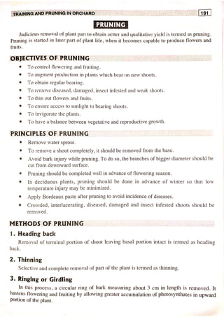 Training and pruning | PDF