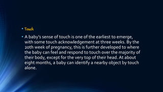 Training of the senses | PPTX