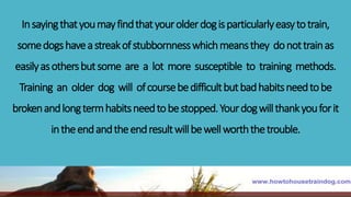 Training older dog | PPTX
