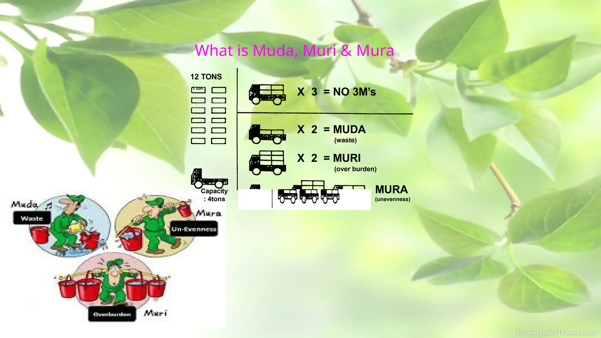 Training on 3m muda mura muri Model.pptx