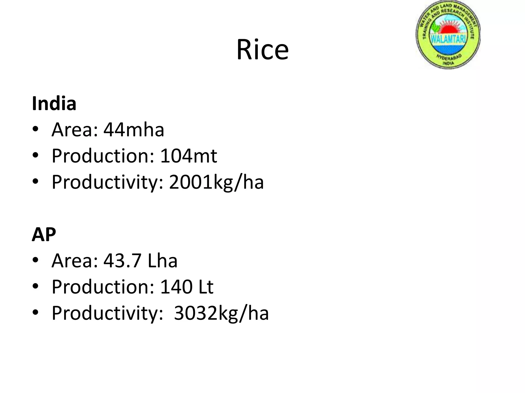 Training on Alternate Wetting and Drying (awd) in rice | PPTX