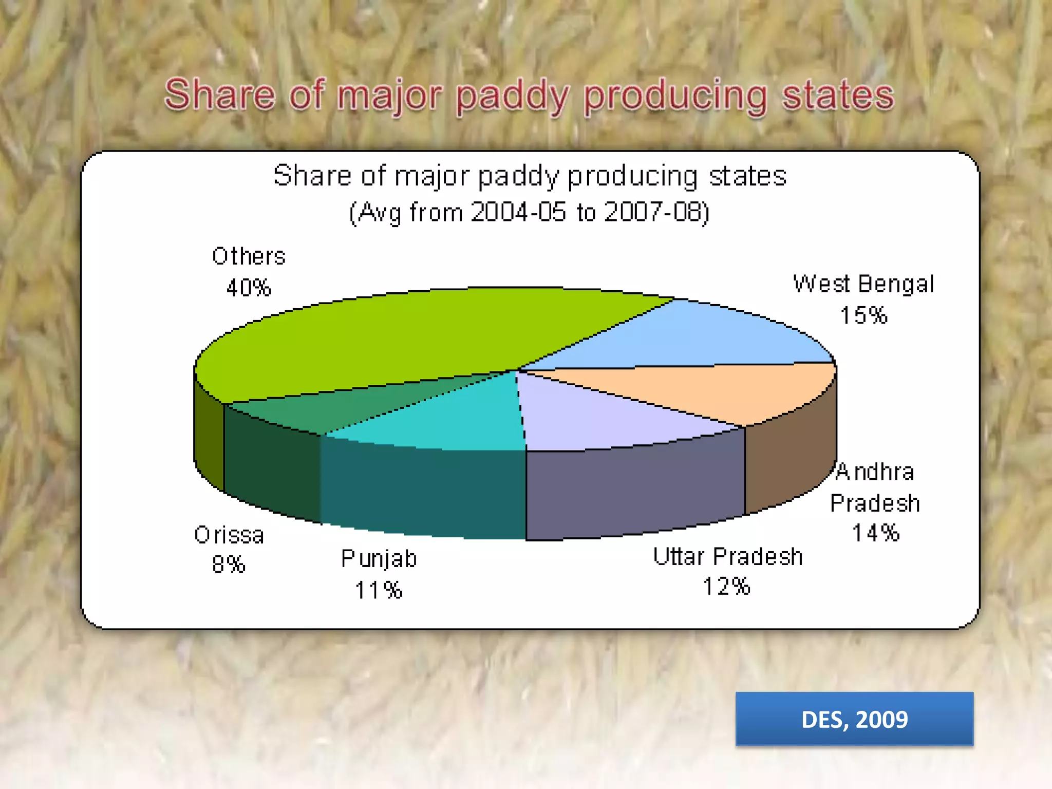 Training on Alternate Wetting and Drying (awd) in rice | PPTX