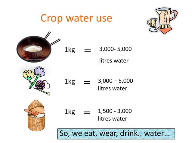Training on Alternate Wetting and Drying (awd) in rice | PPTX