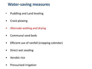 Training on Alternate Wetting and Drying (awd) in rice | PPTX