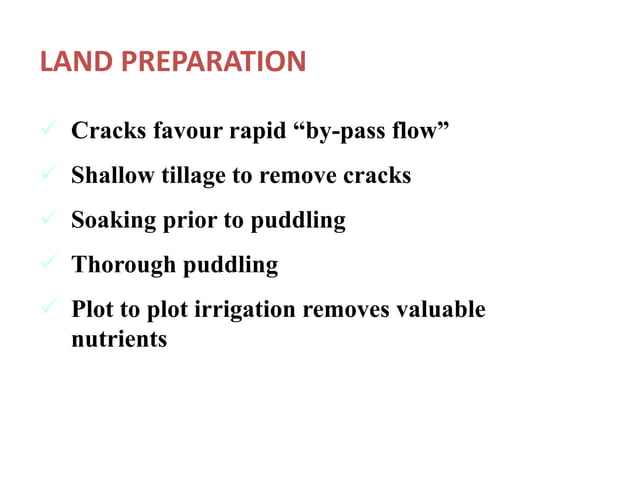 Training on Alternate Wetting and Drying (awd) in rice | PPTX