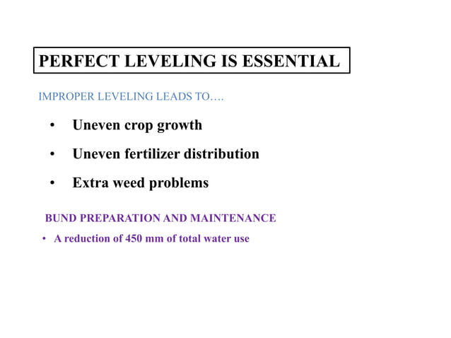 Training on Alternate Wetting and Drying (awd) in rice | PPTX