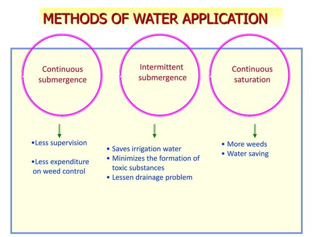 Training on Alternate Wetting and Drying (awd) in rice | PPTX