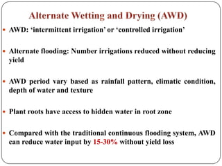 Training on Alternate Wetting and Drying (awd) in rice | PPTX