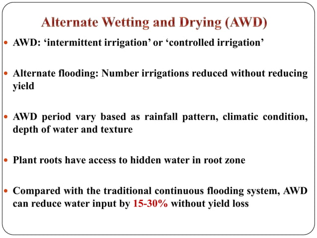 Training on Alternate Wetting and Drying (awd) in rice | PPTX