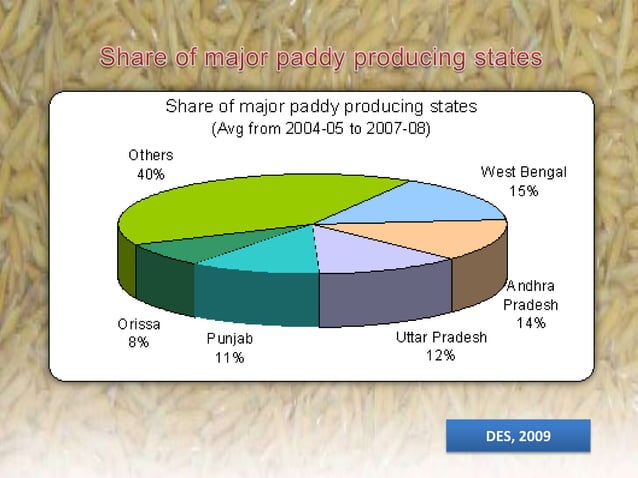Training on Alternate Wetting and Drying (awd) in rice | PPTX