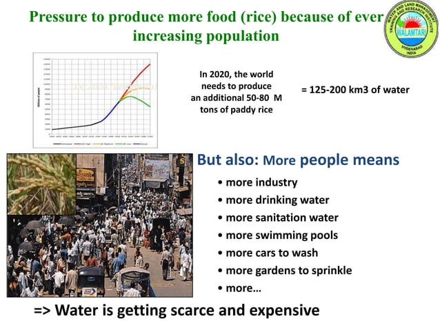 Training on Alternate Wetting and Drying (awd) in rice | PPTX