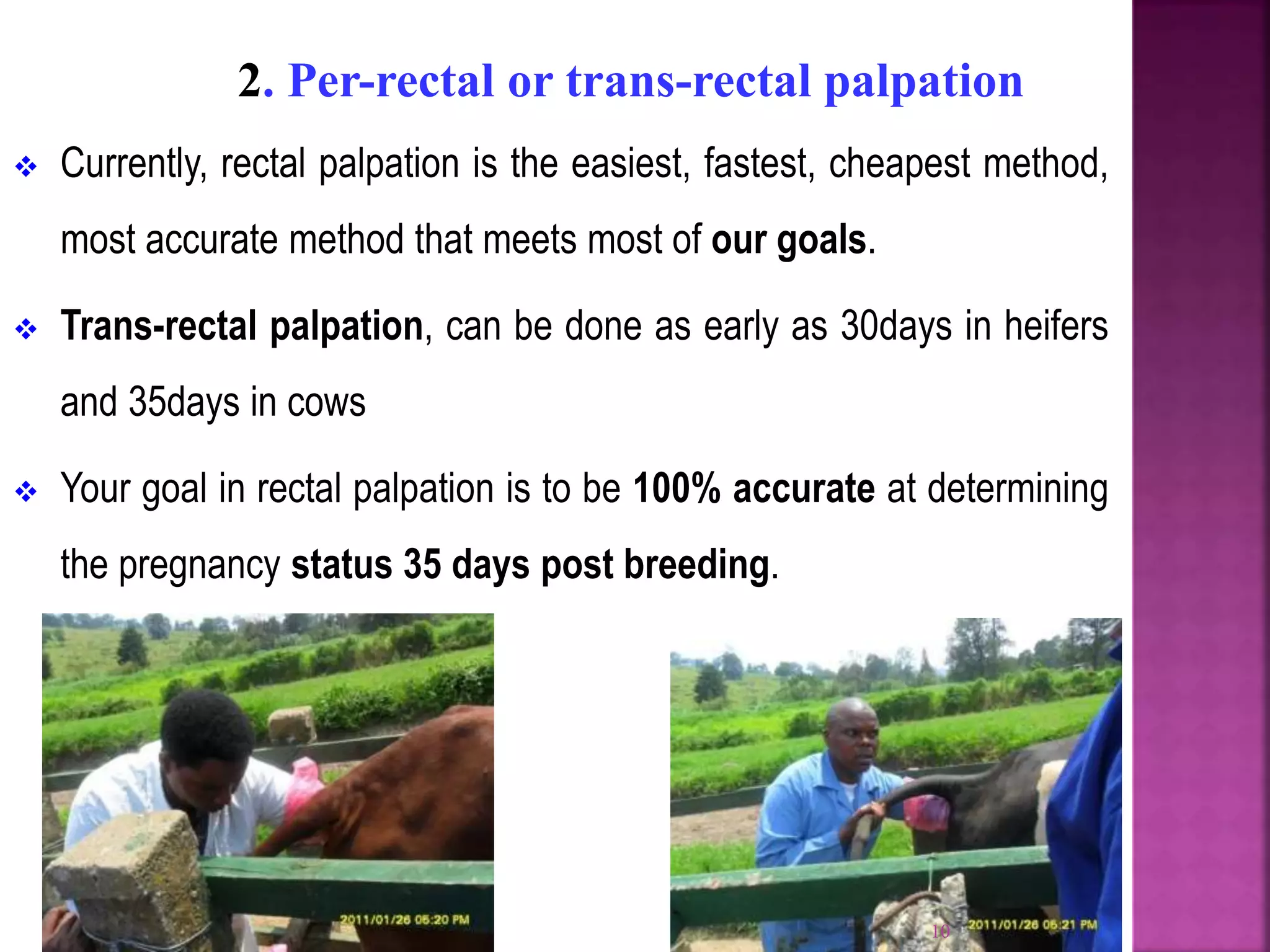 Training on bovine pregnancy diagnosis (pd) tests | PPT