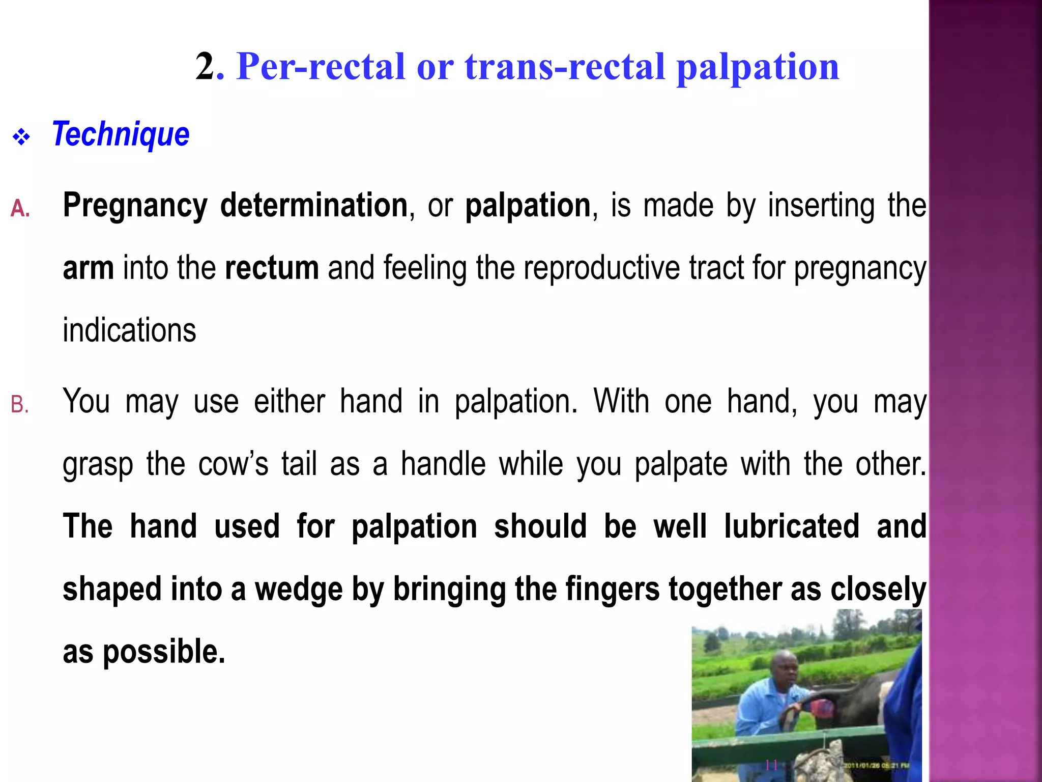 Training on bovine pregnancy diagnosis (pd) tests | PPT