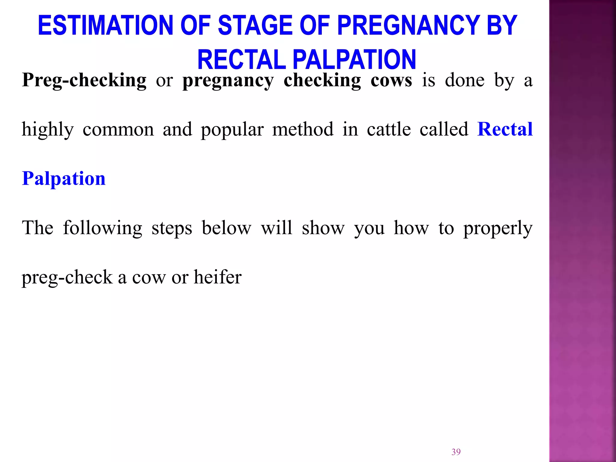 Training on bovine pregnancy diagnosis (pd) tests | PPT