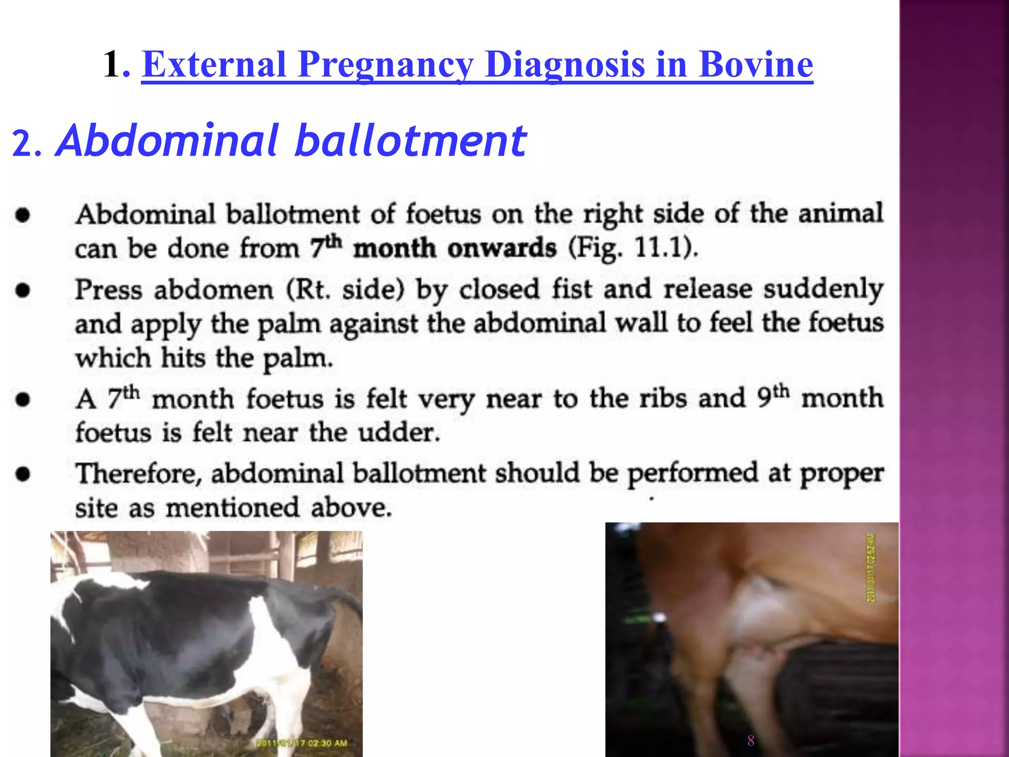 Training on bovine pregnancy diagnosis (pd) tests | PPT