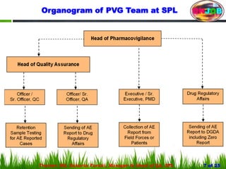 Pharmacovigilance Function at SPL.pdf
