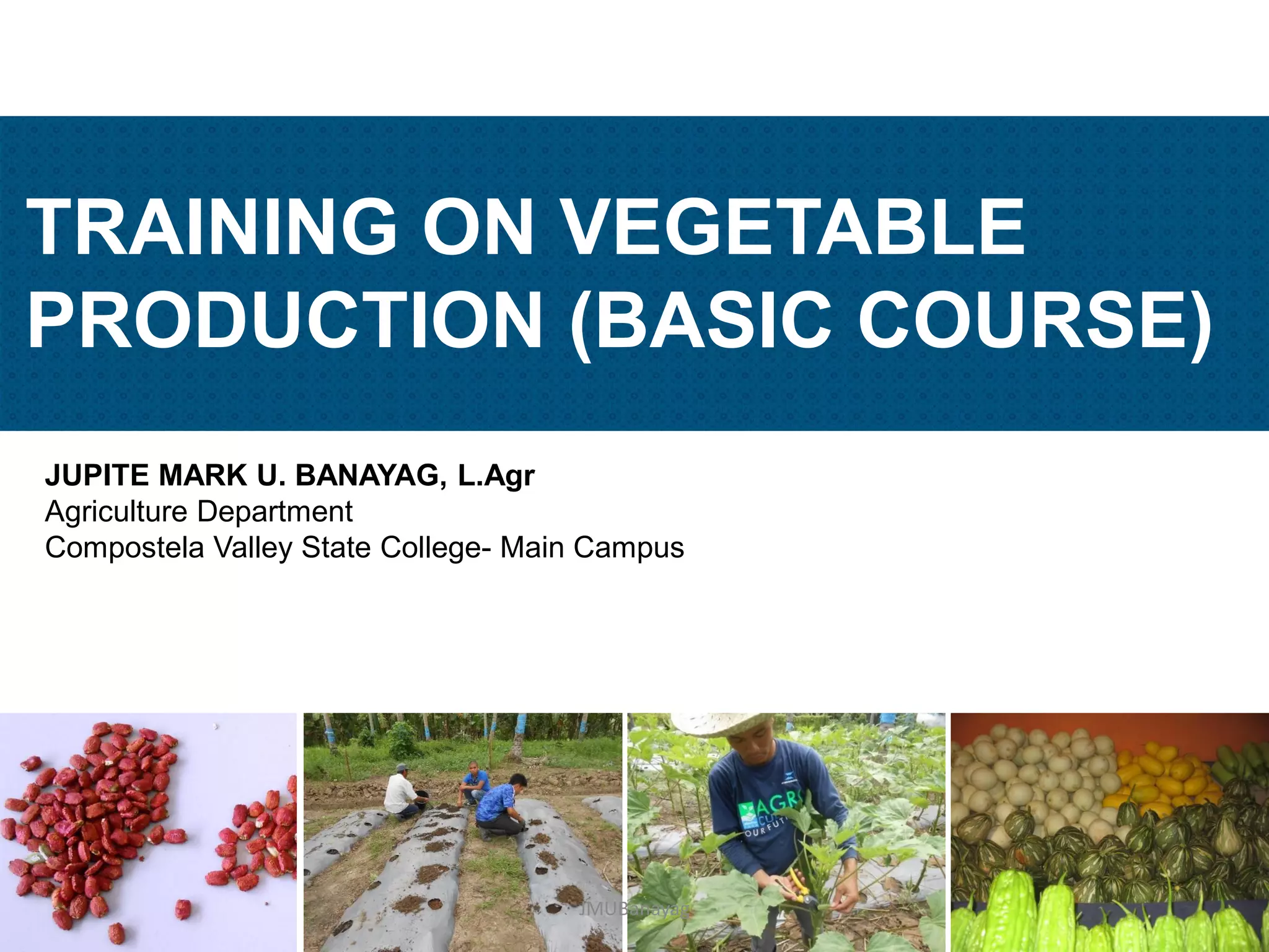 Training on Vegetable Production (Basic Course) | PDF