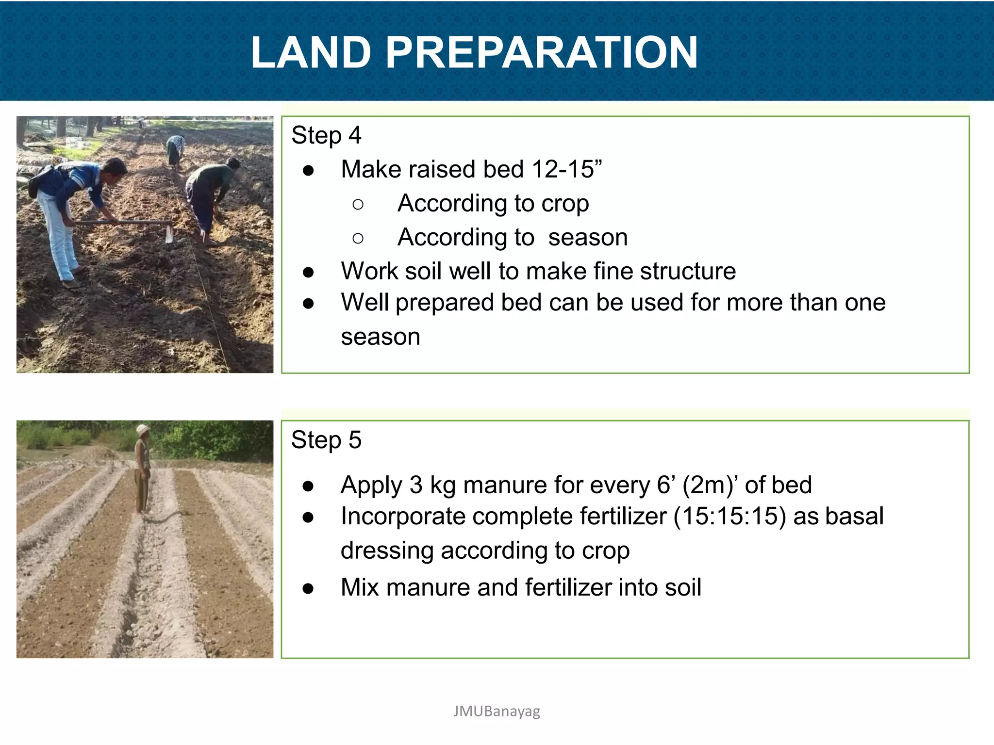 Training on Vegetable Production (Basic Course) | PDF