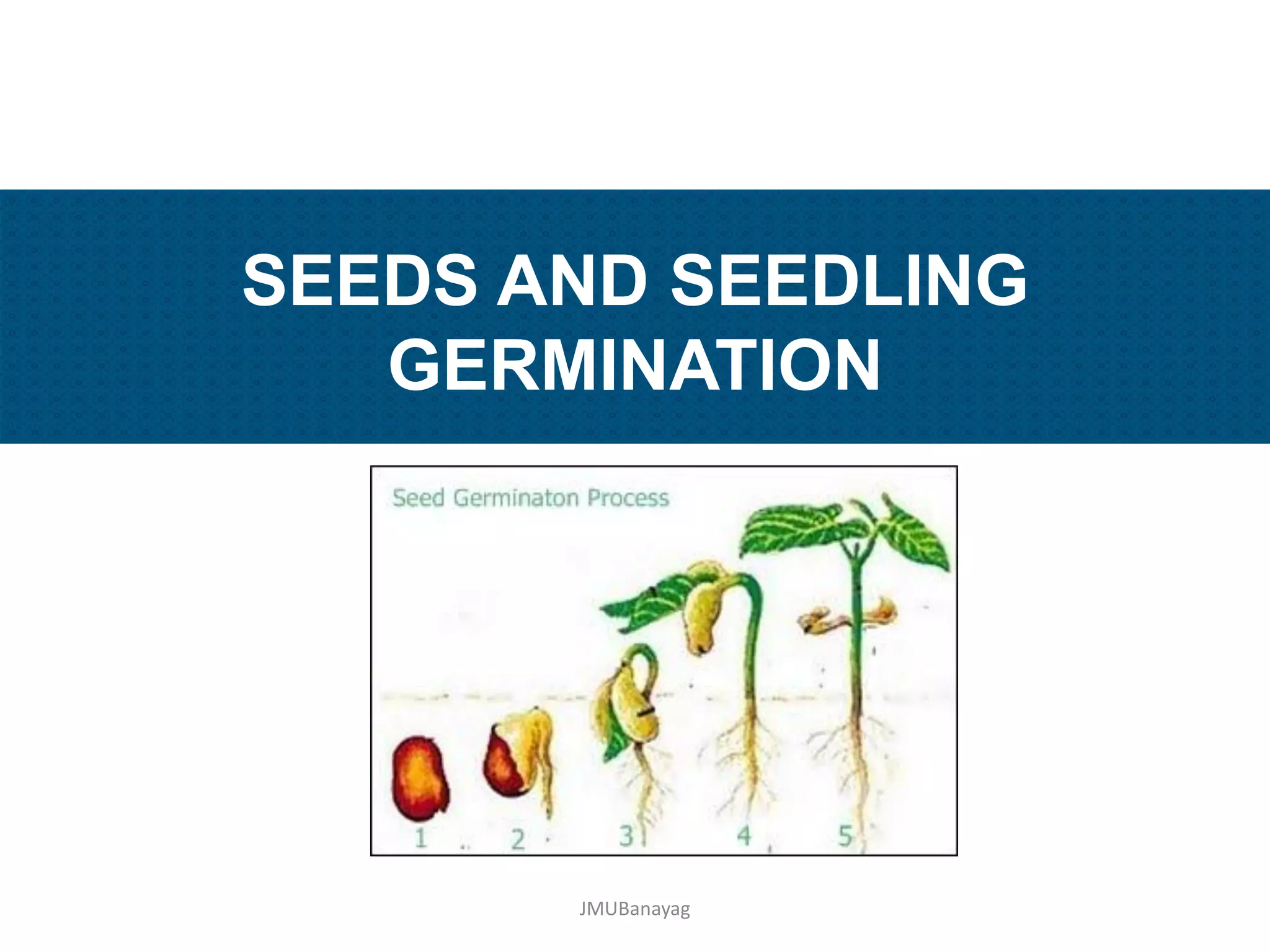 Training on Vegetable Production (Basic Course) | PDF