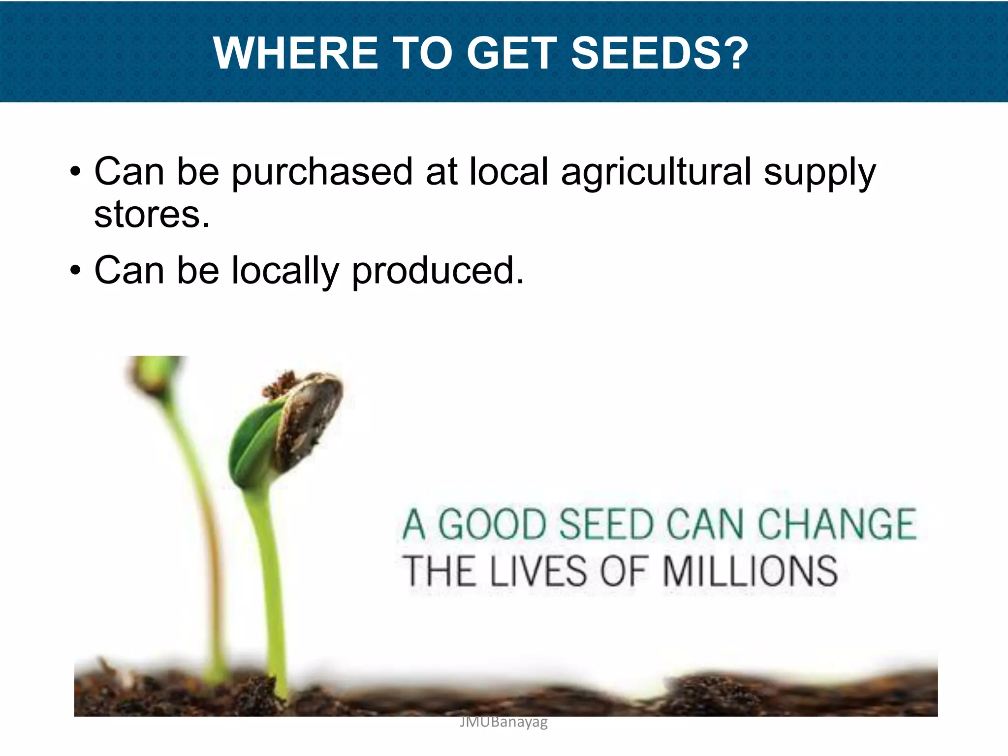 Training on Vegetable Production (Basic Course) | PDF