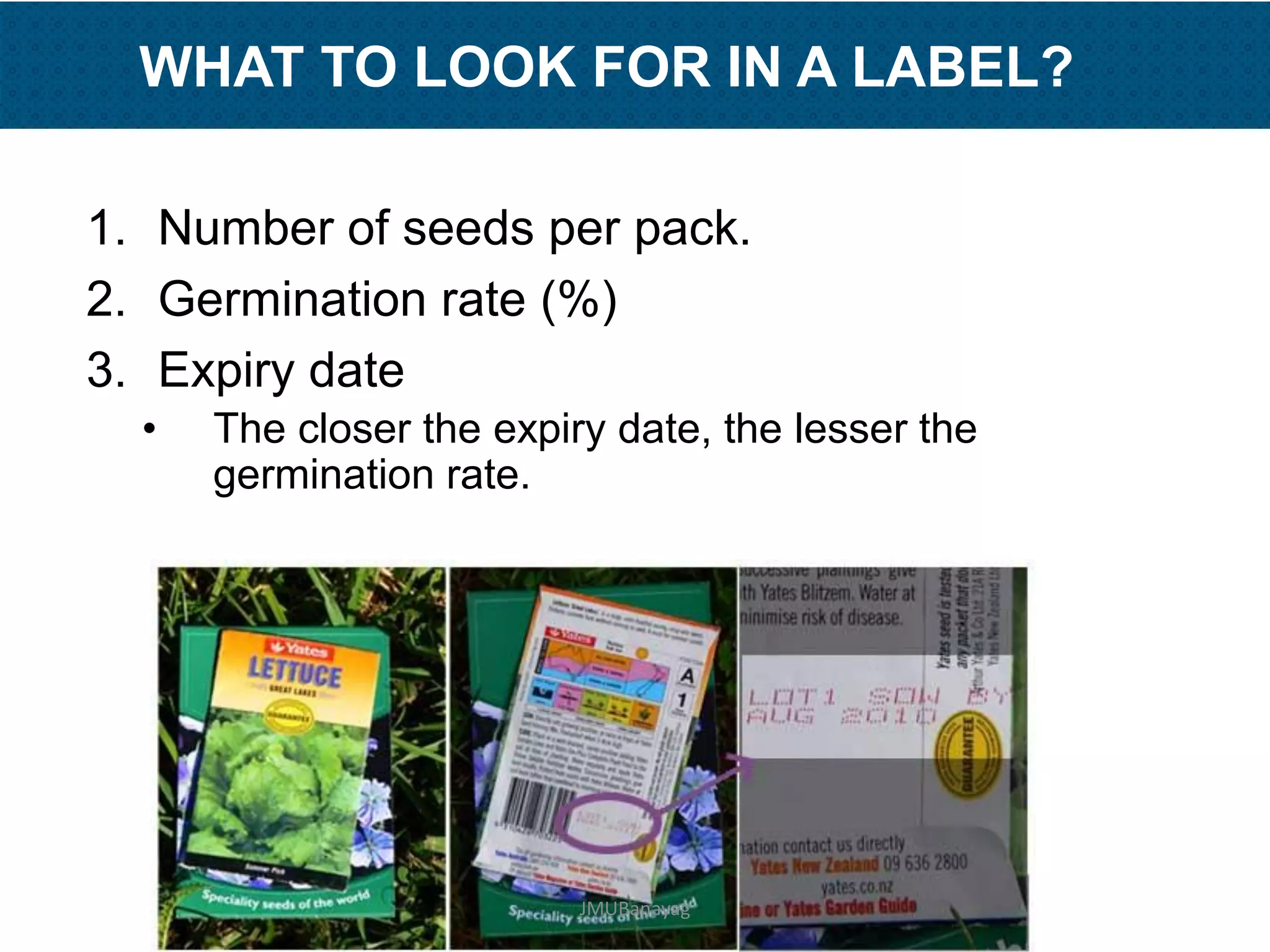 Training on Vegetable Production (Basic Course) | PDF