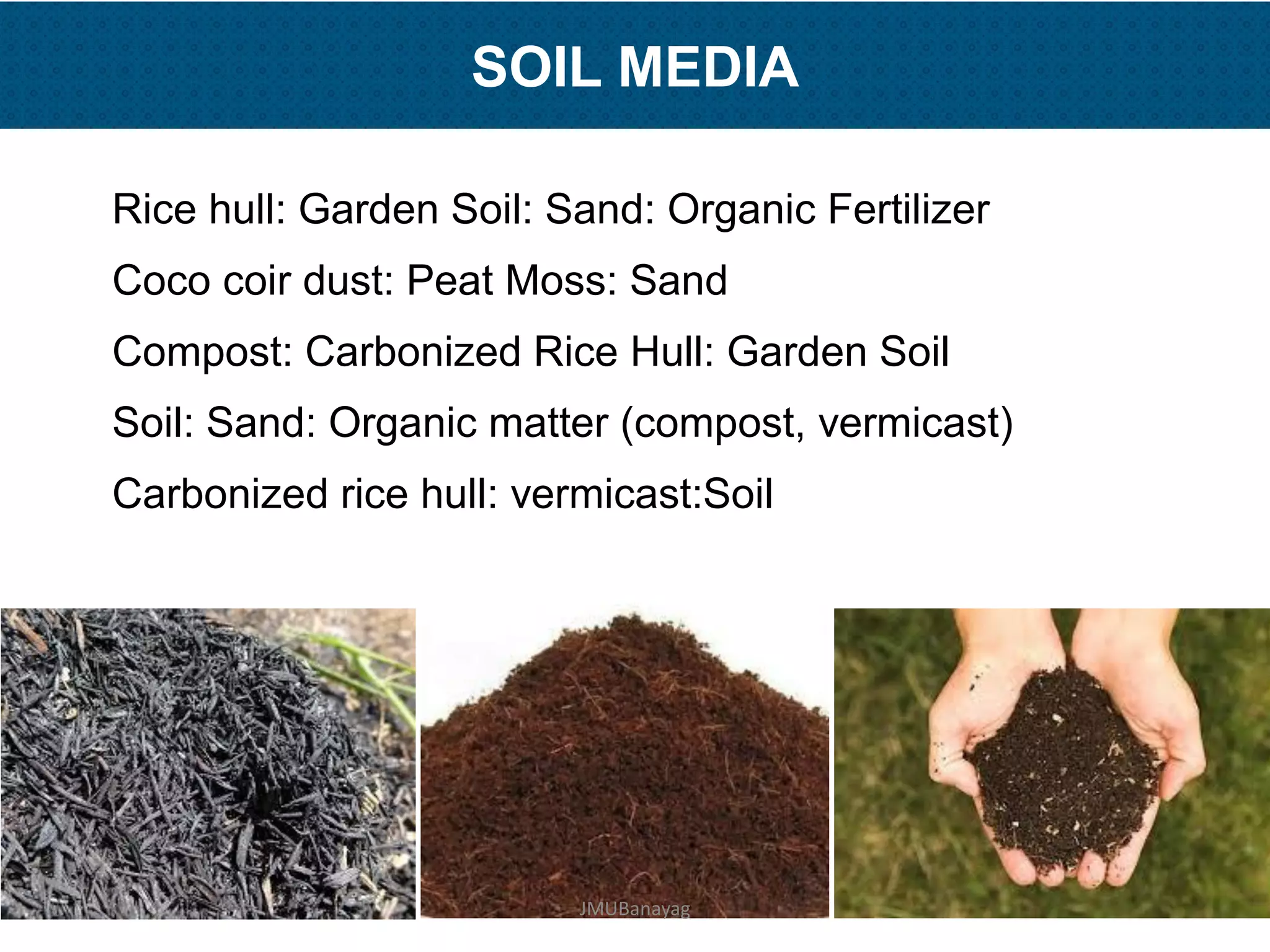 Training on Vegetable Production (Basic Course) | PDF
