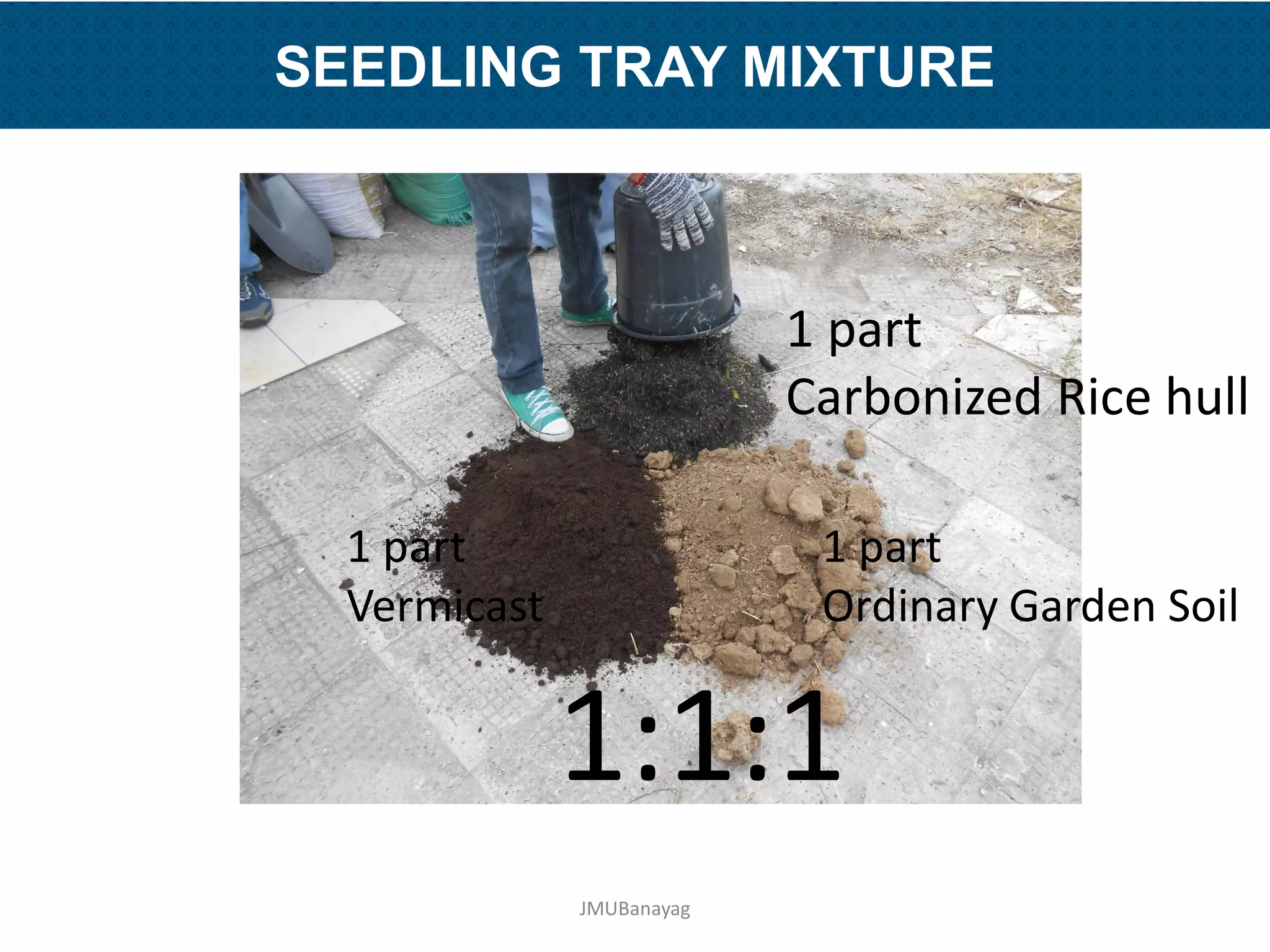 Training on Vegetable Production (Basic Course) | PDF