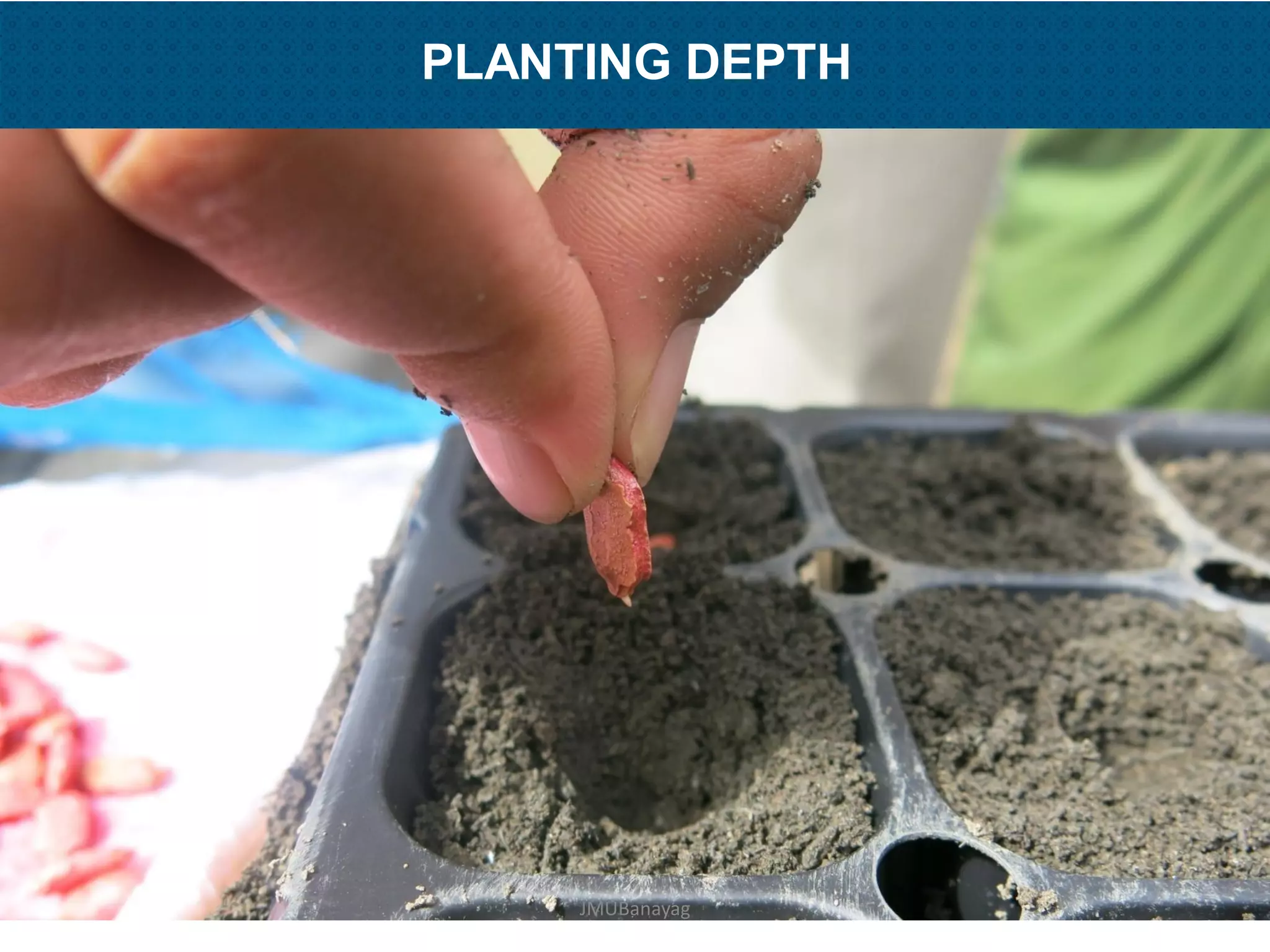 Training on Vegetable Production (Basic Course) | PDF